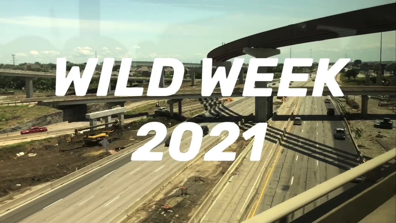 WILD WEEK DAY 1 - YouTube