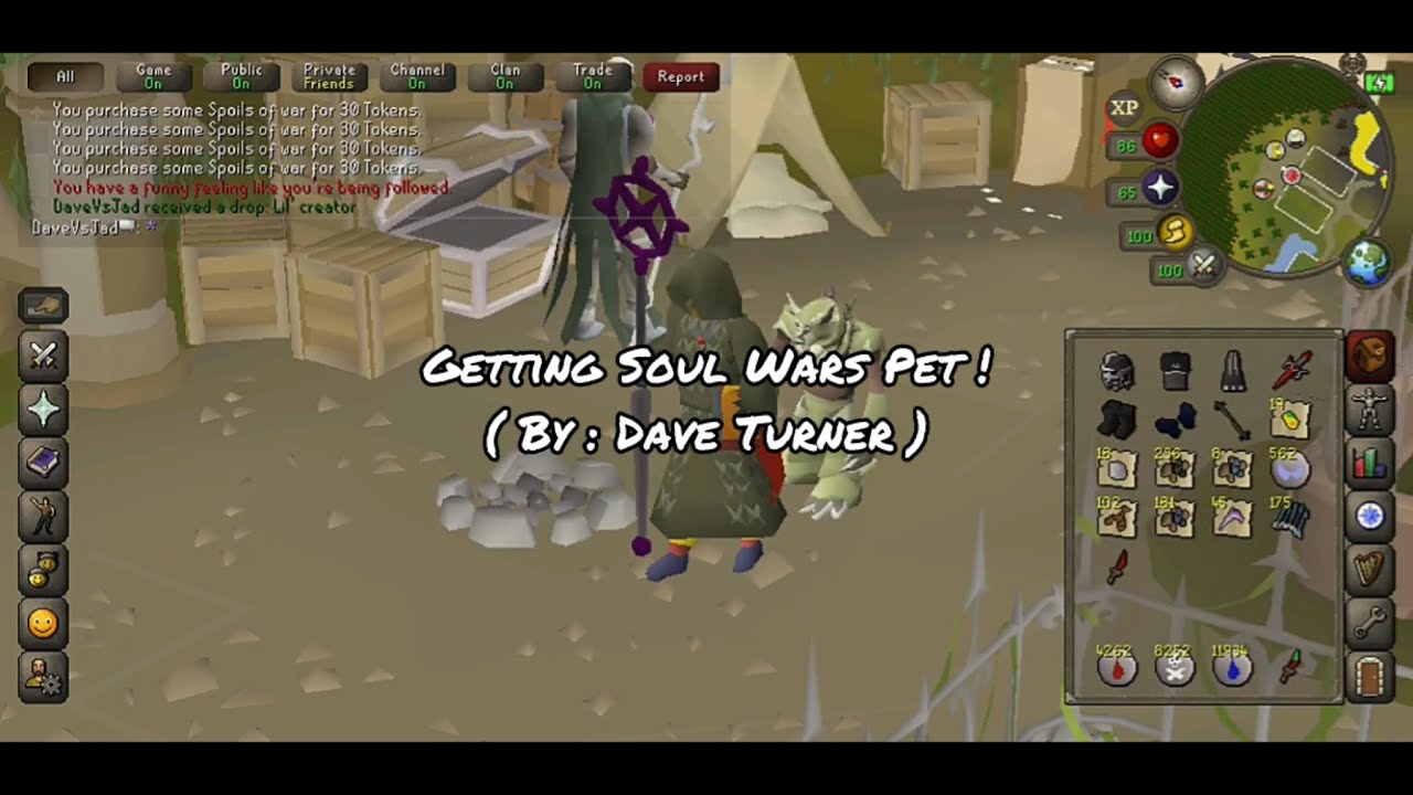 Osrs - Getting The Soul Wars Pet ! - YouTube