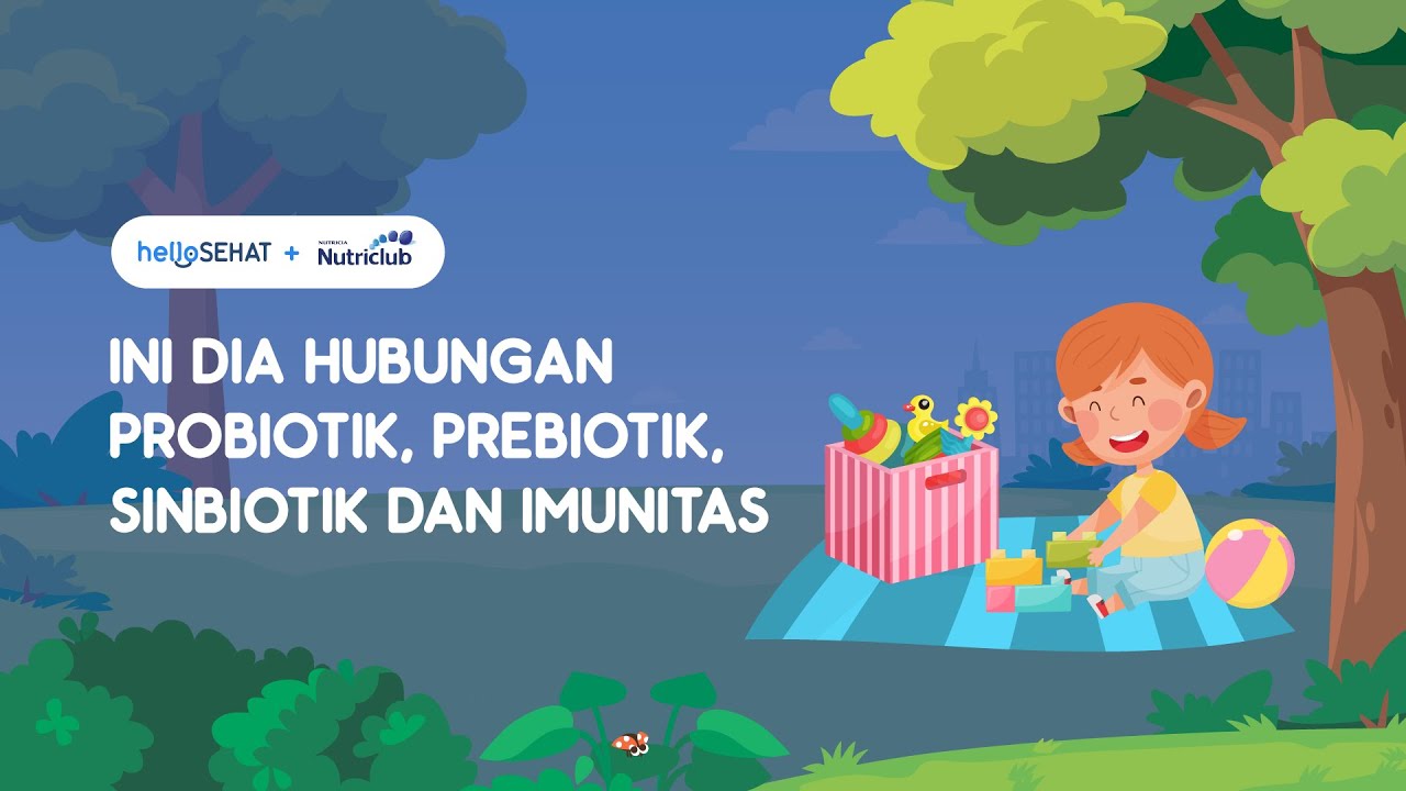 Ini Dia Hubungan Probiotik, Prebiotik, Sinbiotik dan Imunitas - YouTube