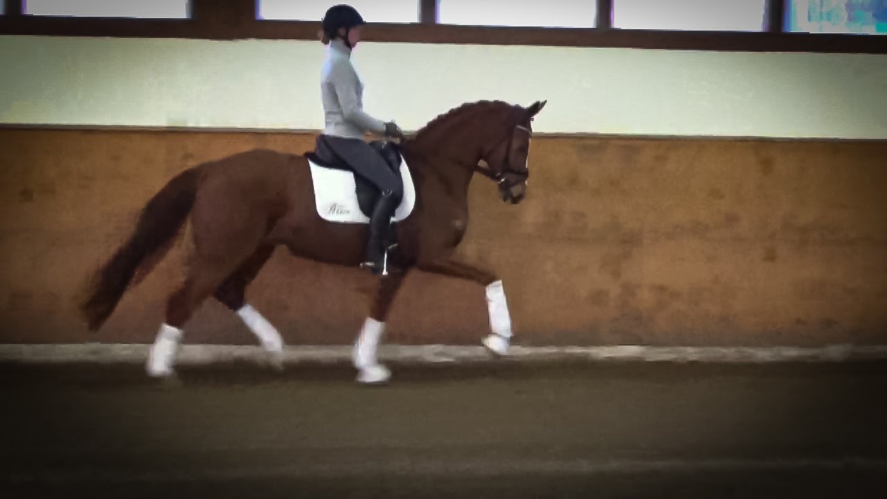 www.stall-rode.de - YouTube