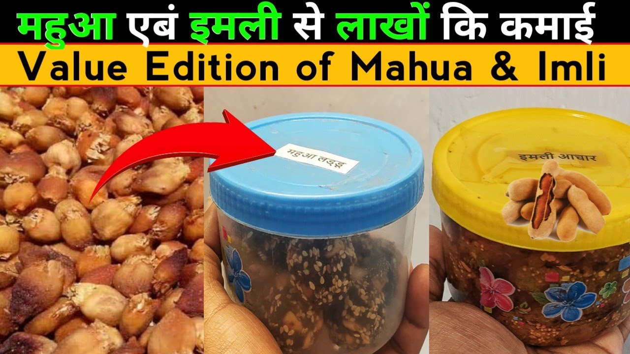 Mahua or Imli Ki Value edition Karke Lakho Kamaiye ! Mahua Laddu ...
