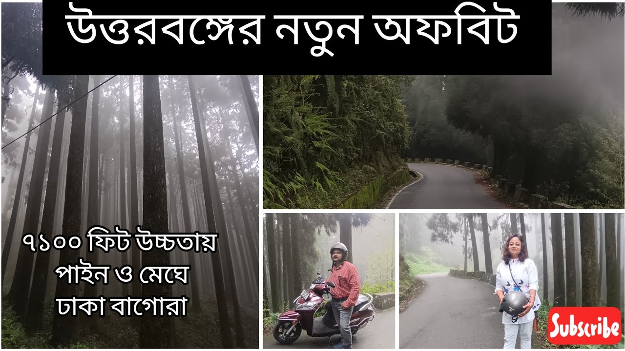 Bagora Forest || North Bengal Offbeat || Kurseong || Chimney || Dowhill ...