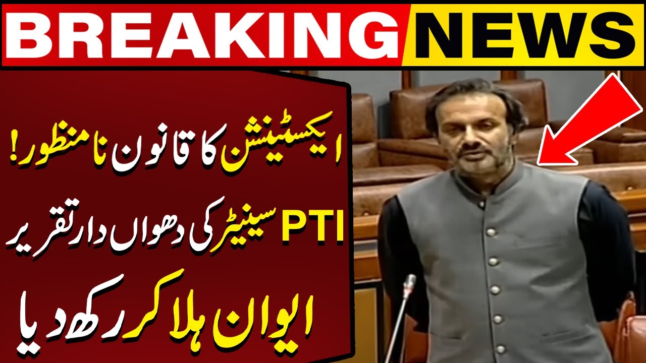 Aun Abbas Bapi's Blasting Speech In Senate | Capital TV - YouTube