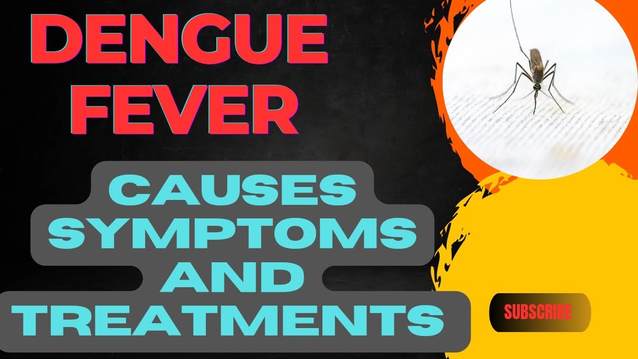 Dengue Fever Causes Symptoms and best Treatment - YouTube