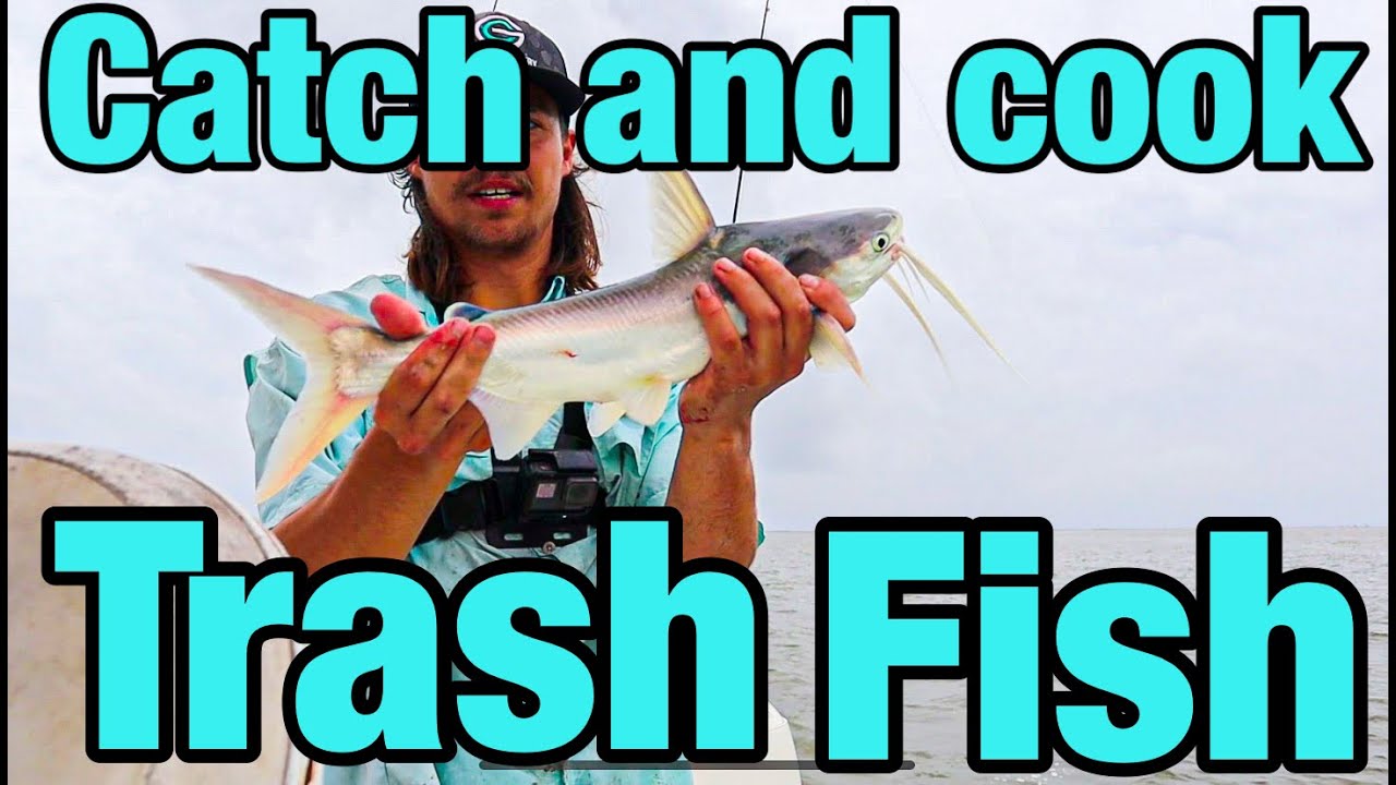 Trash Fish(Gafftop) Catch and Cook, SHOCKING Taste Test - YouTube