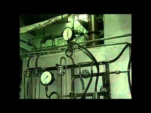 Die Mafia - Teil 2 - Amerika Kolumbien und Yakuza 4/5