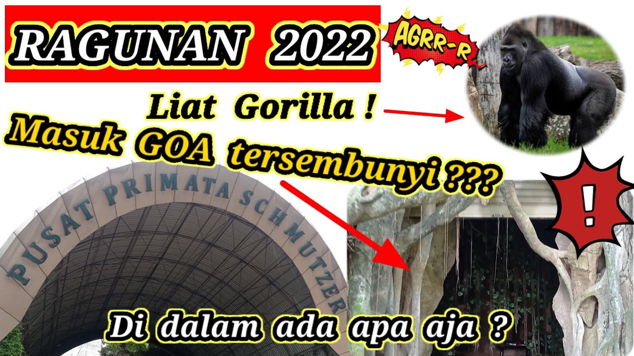 RAGUNAN 2022 | KEBUN BINATANG | TAMAN MARGASATWA RAGUNAN | EXPLORE ...