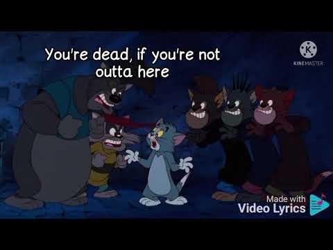 What do we care ? (the alley cats) song lyrics. Tom and Jerry the movie