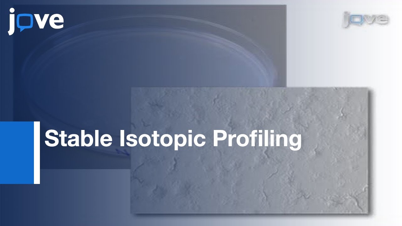 Stable Isotopic Profiling:Intermediary Metabolic Flux In Developing ...
