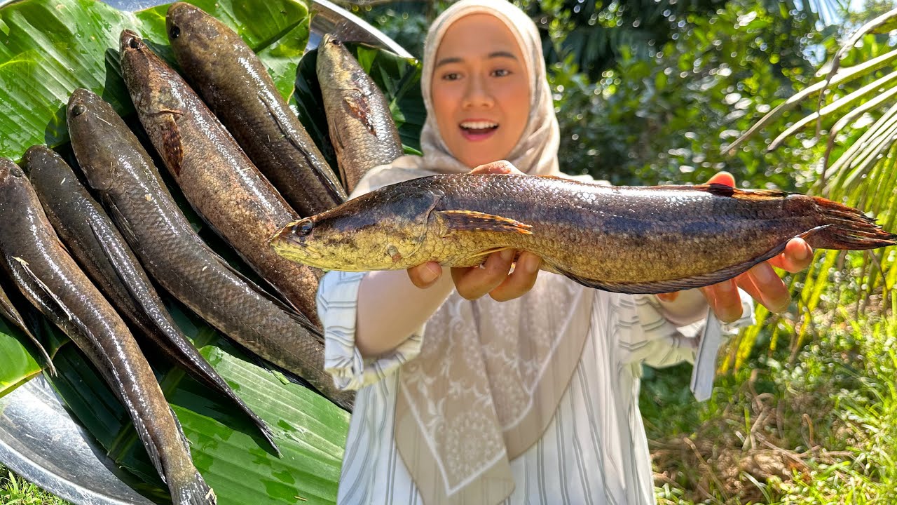HASIL MANCING DAPAT BANYAKKK IKAN TERUS KITA MASAK MENU LEGEND INI ‼️ ...