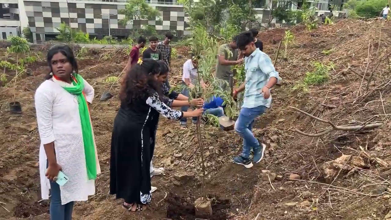 Tree Plantation Mega Drive | Planting 750 Native Trees | VEDA College ...