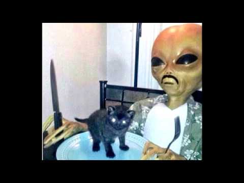 Cursed Images with Earthbound Music - YouTube