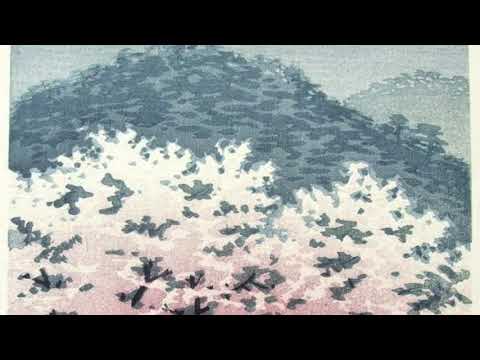 Marty Regan - 21 String Koto Concerto No. 1 \