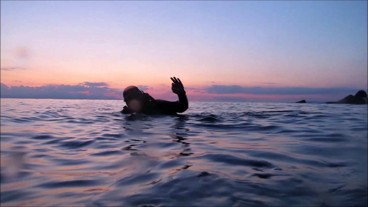 immersioni al relitto di Pomonte, Elviscot, isola d'elba - YouTube