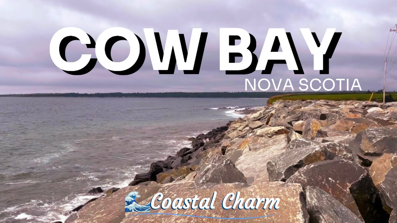 📍COW BAY II A coastal Gem in Nova Scotia II Xplorewithjasmine ...