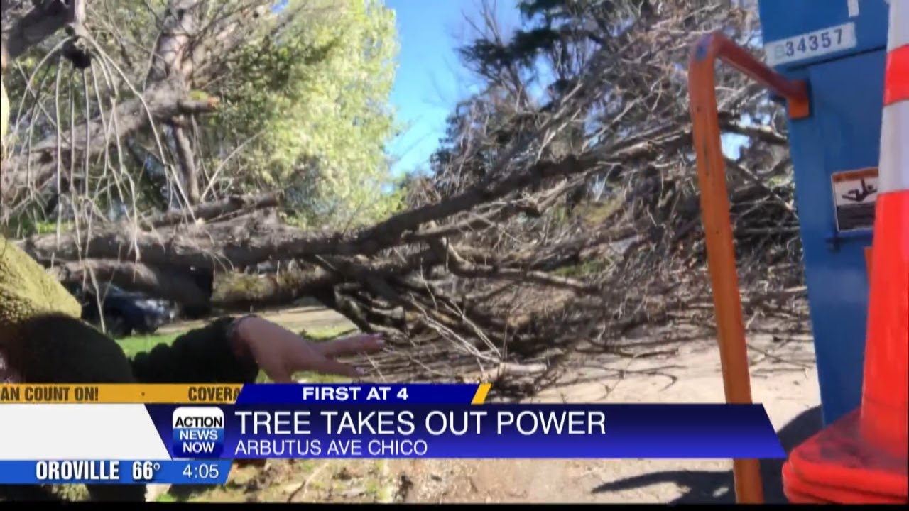 Tree takes out power in Chico on Thursday morning - YouTube