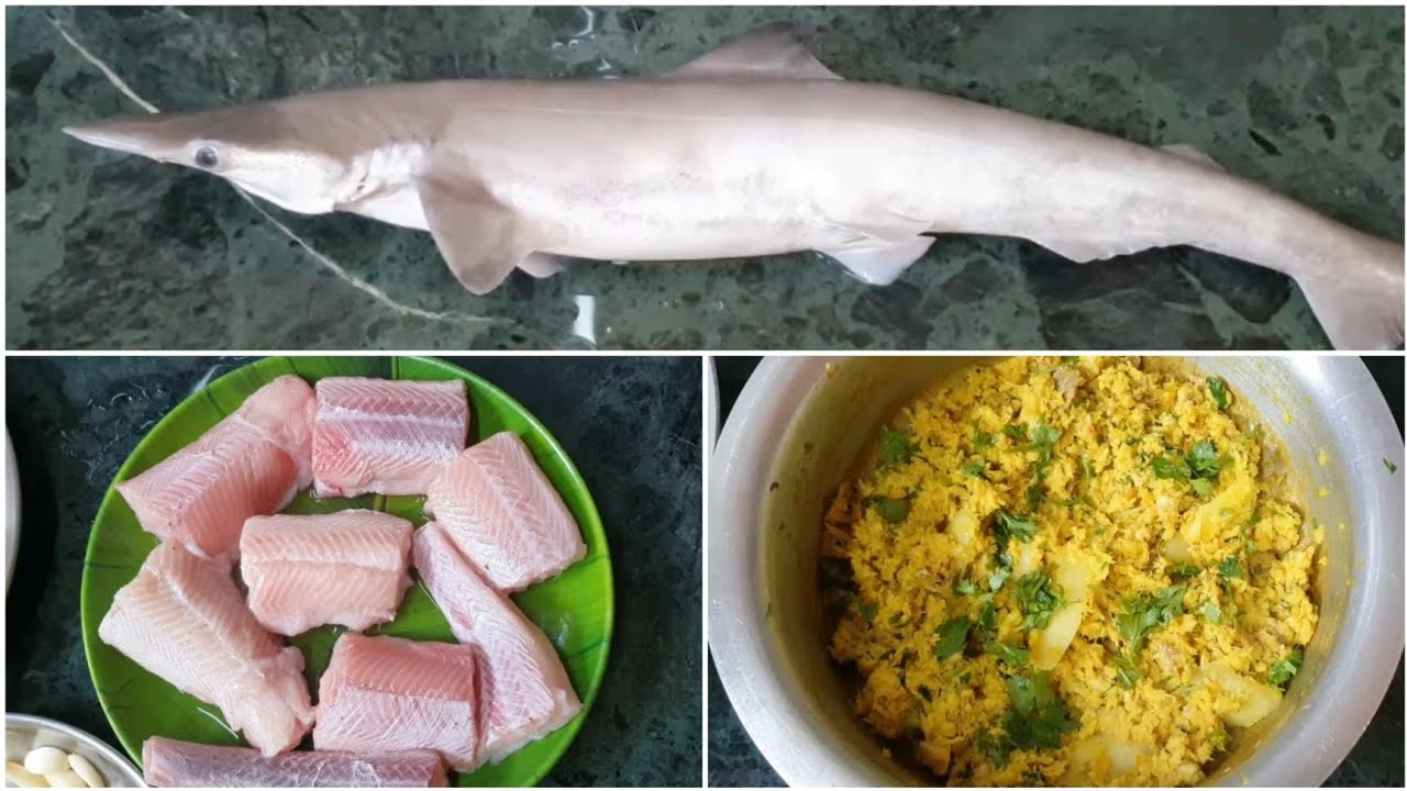 मुशी रेसिपी | shark ( mushi ) recipe | @urankaranjekar3037 @AshwinVlogs ...