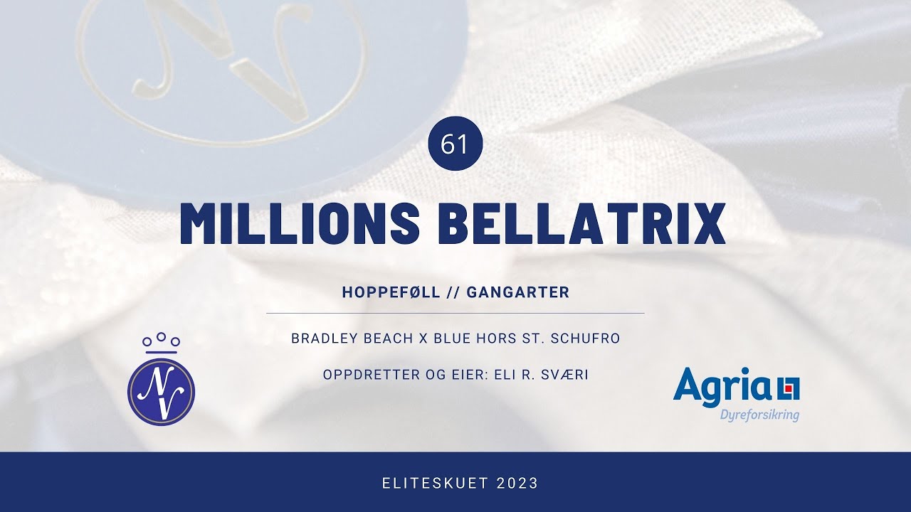 Kat 61 Millions Bellatrix - YouTube