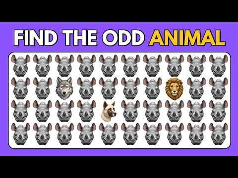 Find The ODD One Out - Animal Edition! 🐊🐋🐒 Easy, Medium, Hard -35 ...