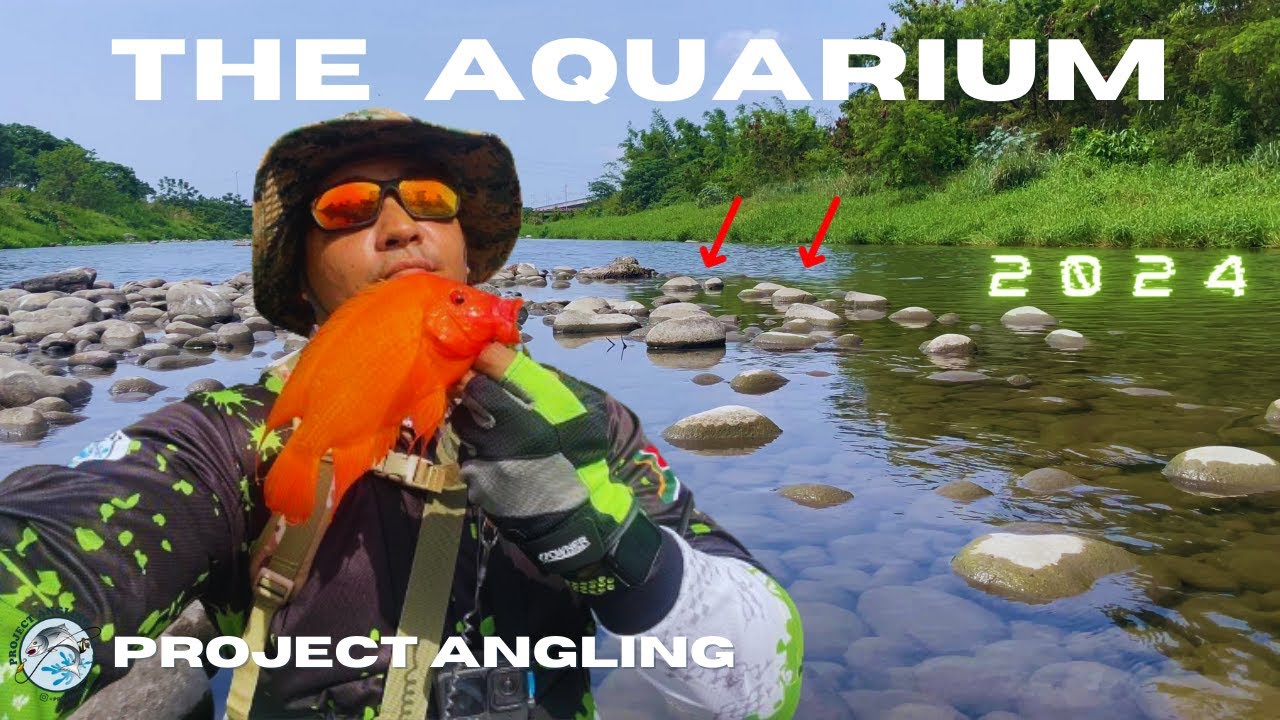 PROJECT ANGLING || Fishing A River In Taiwan Where The Species Are ...