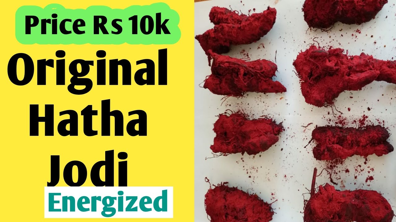 hatha jodi original plant | hatha jodi price | hatha jodi | - YouTube