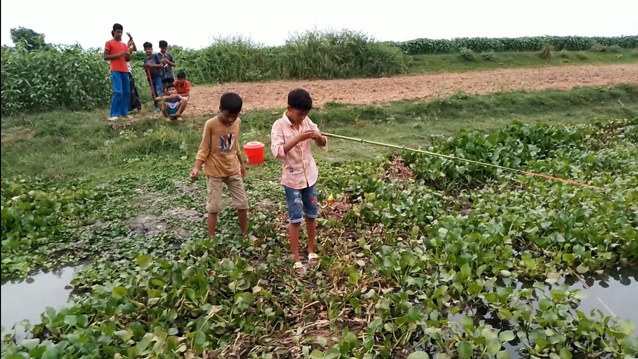 amazing unique village boy hook fishing with hunting big fish by single ...