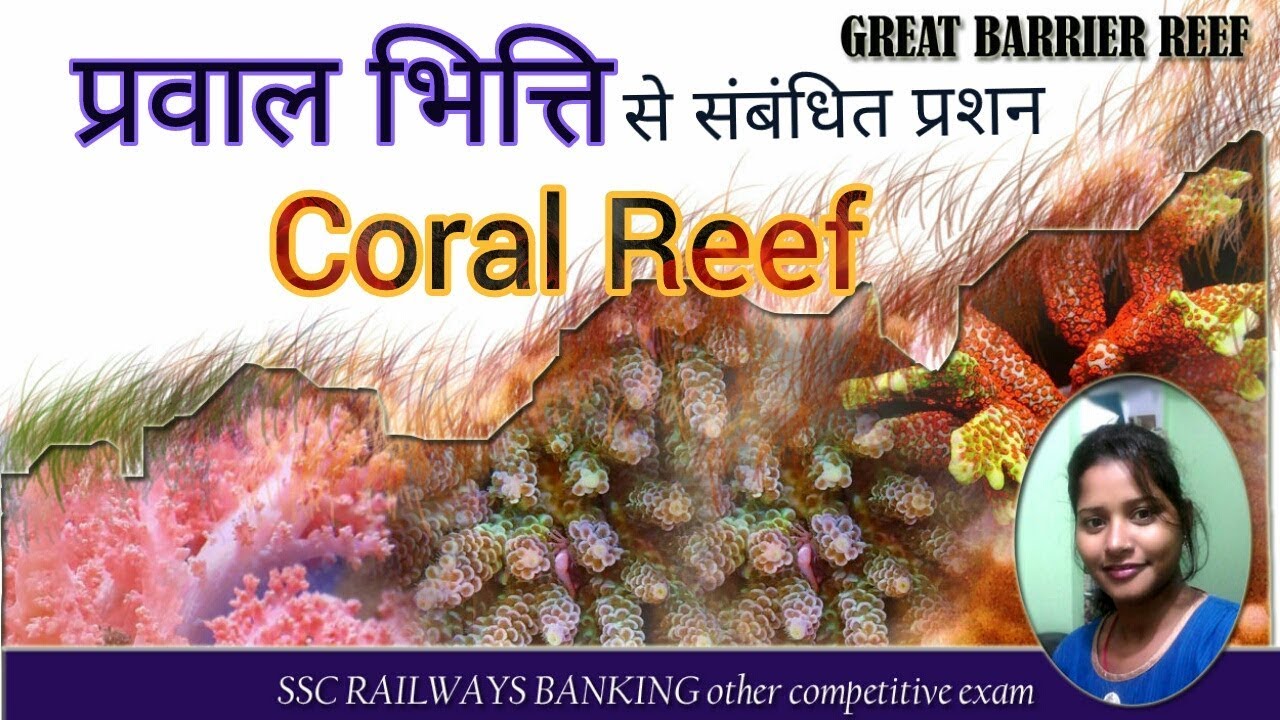 प्रवाल भित्ति Coral reef से संबंधित प्रशन || ग्रेट बैरियर रीफ क्या हैं ...