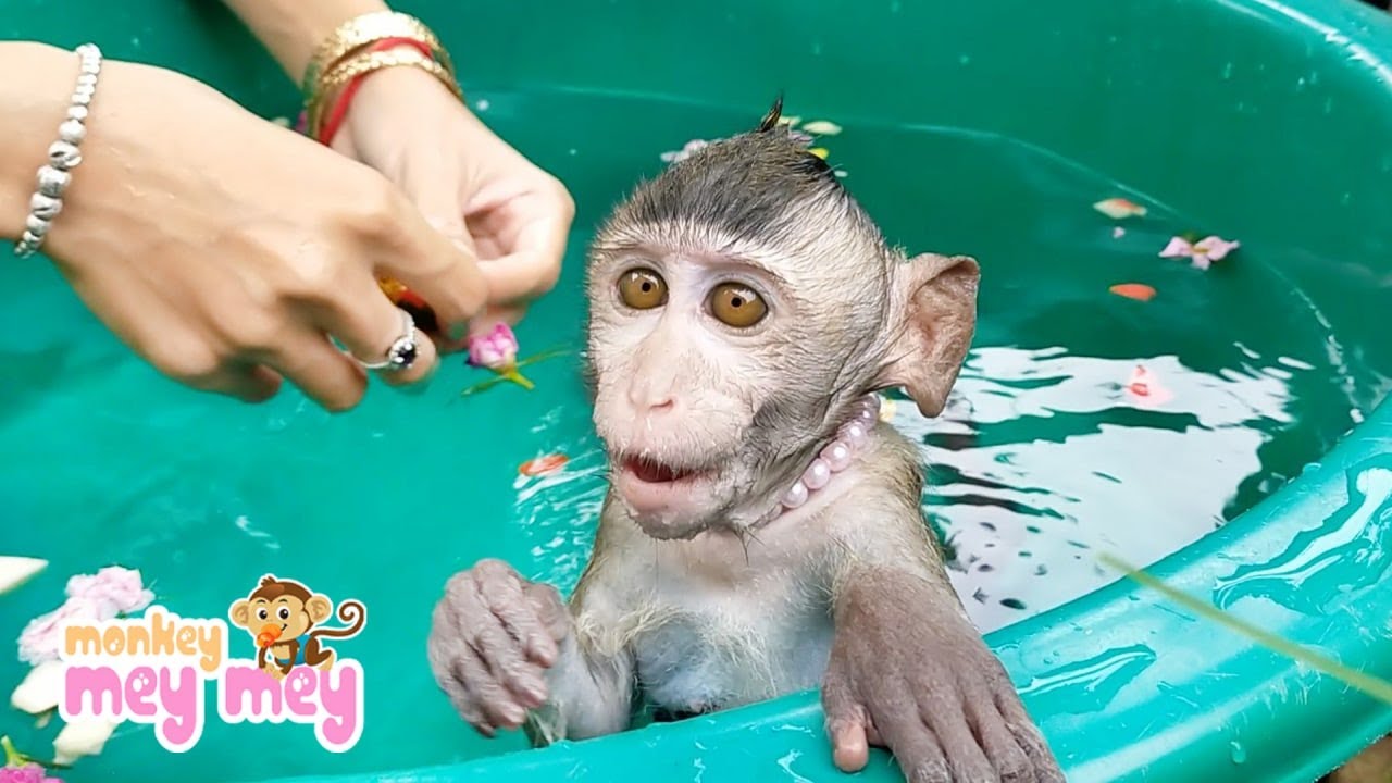 Bath For My Lovely Mey Mey - YouTube