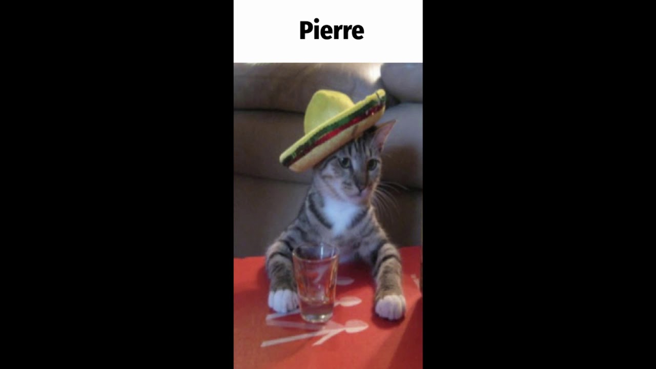 pierre - YouTube