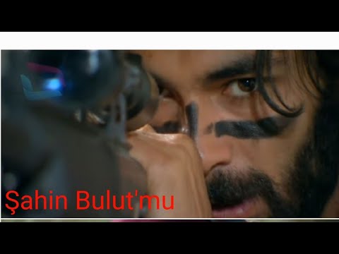 Şahin'mi? Emir'mi? (Yavuz oğlanmı? Torpillimi?)