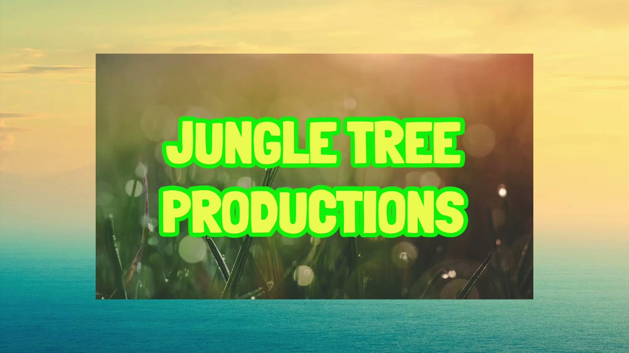 Butterfly Productions Jungle Tree Productions Rainforest Productions ...