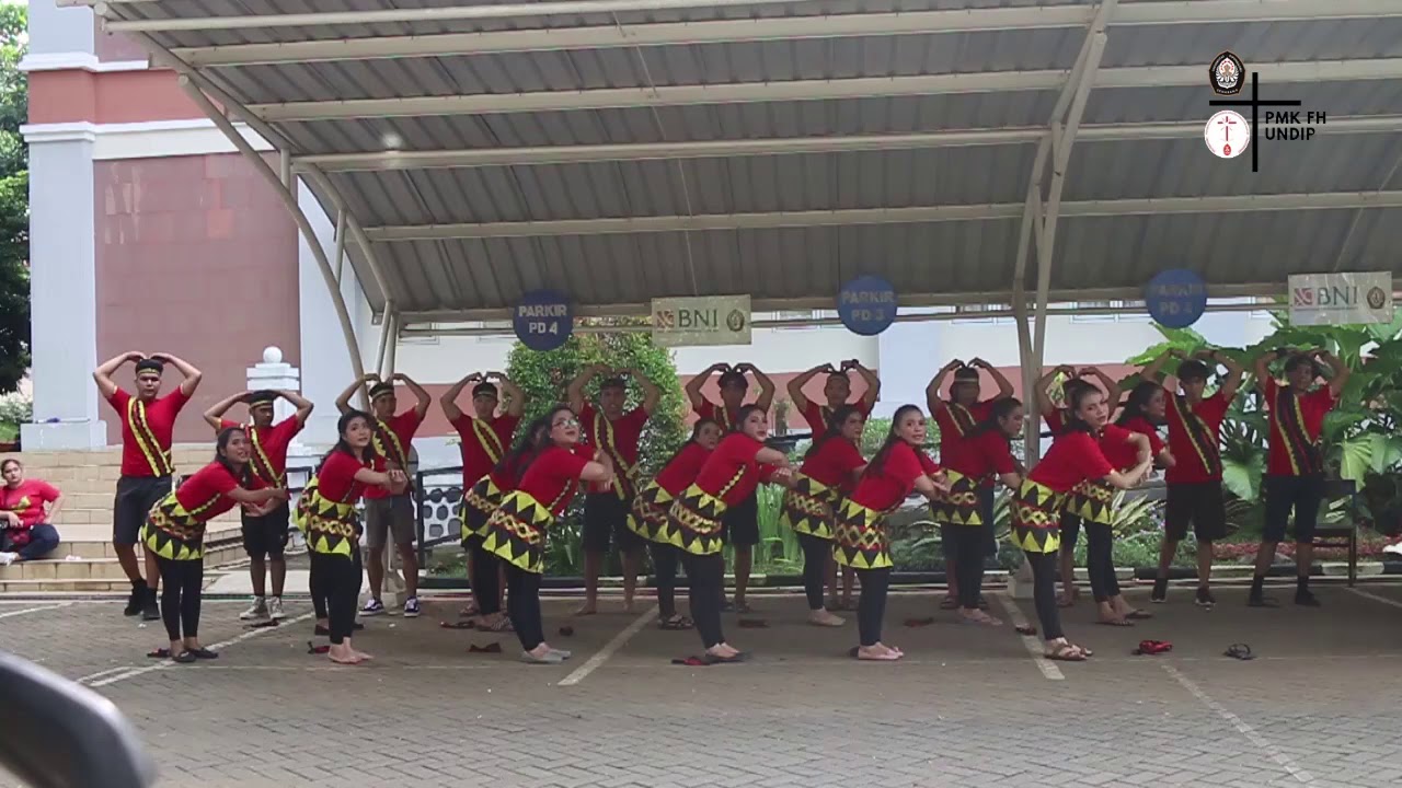 full gladi MPP PMK FH UNDIP 2019 - YouTube