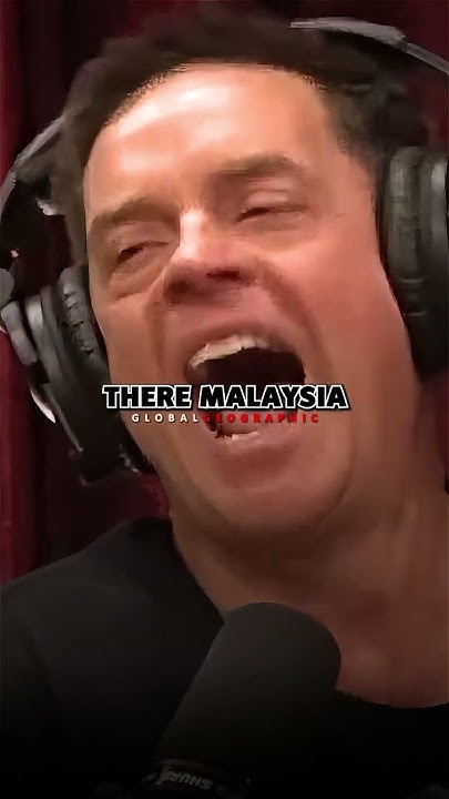 Joe Rogan’s Scarriest Python Encounter - YouTube