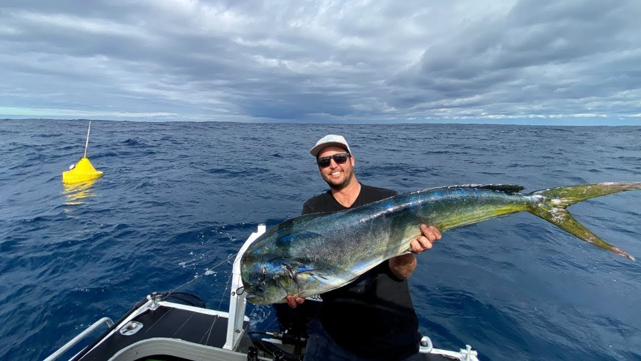 New FADs season launched: 30 devices, cutting edge tech and epic ...