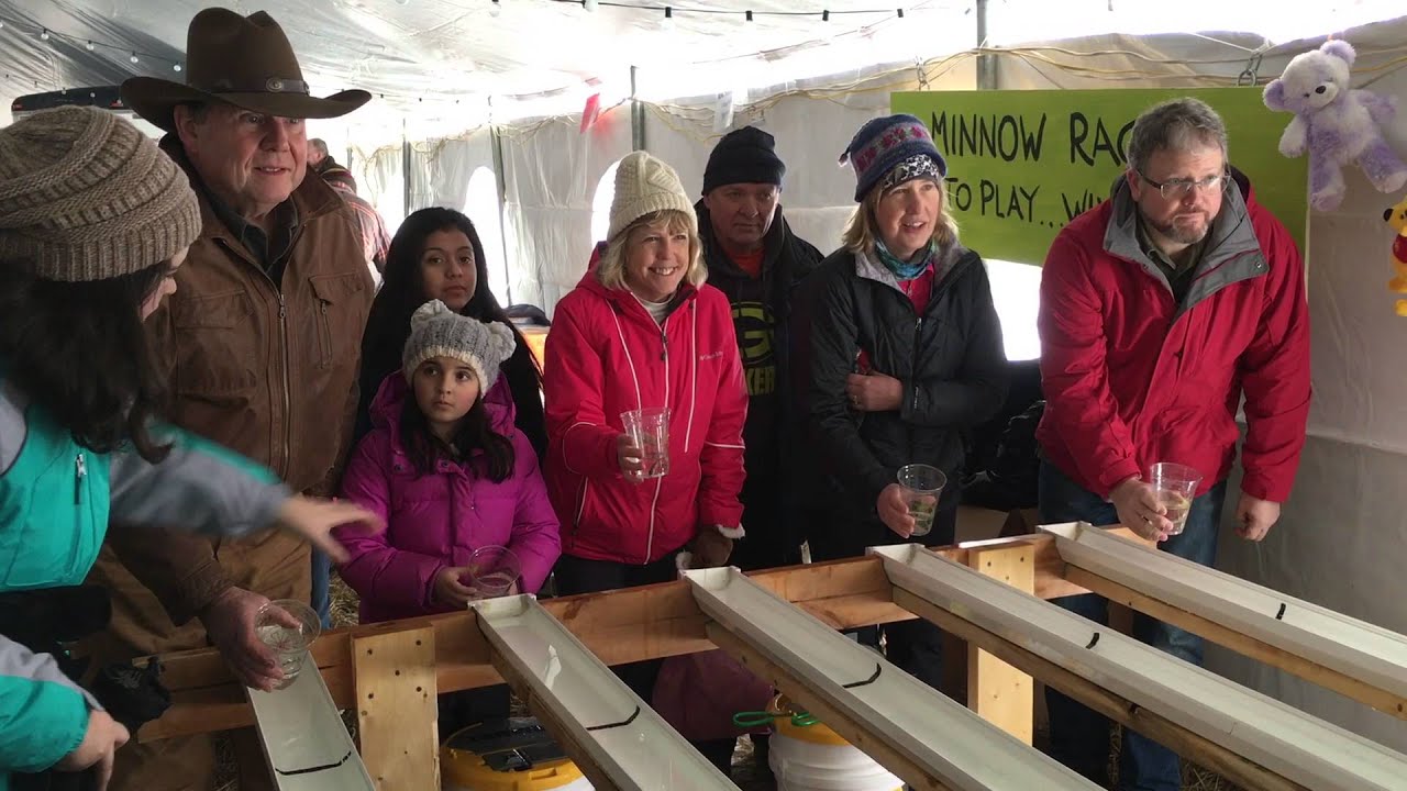 Minnow Races! - YouTube