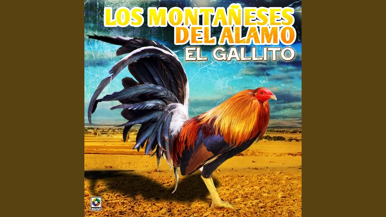 El Gallito - YouTube