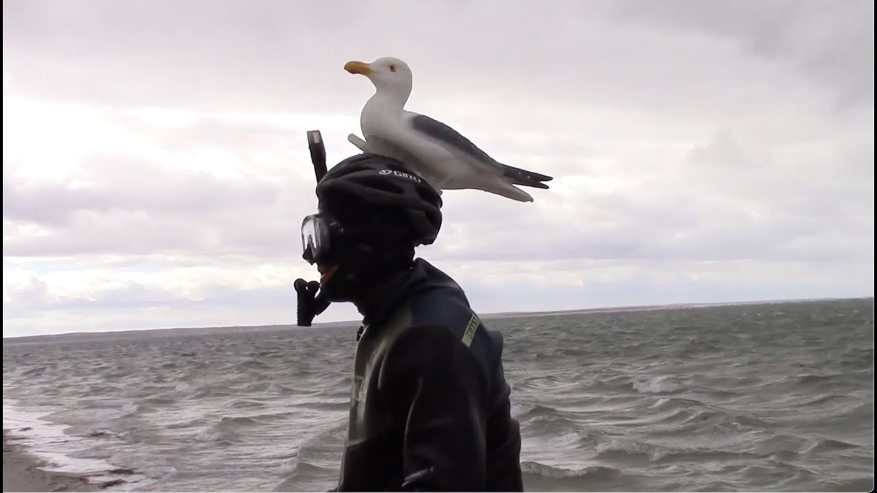 James Bond Seagull Snorkel Build and Test - YouTube