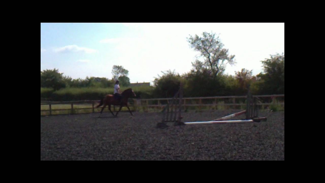 My Flatwork Session On Patti. - YouTube
