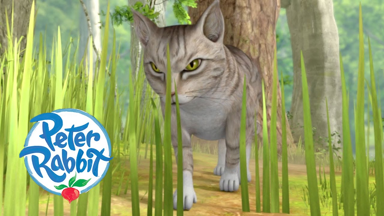 @OfficialPeterRabbit - Help from an Unlikely Cat! 🐱 | Cartoons for Kids ...