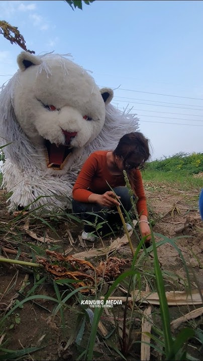 Lagi nyari belut berujung dimakan can macanan - YouTube