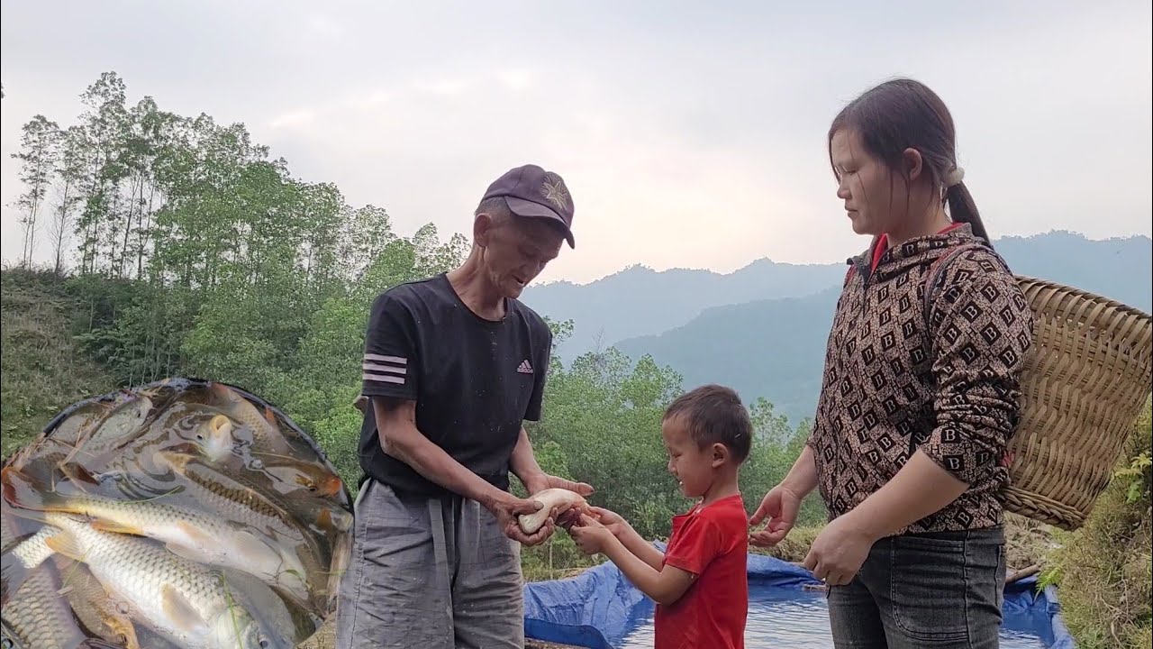 Hoang and Phong catch fish for their grandfather to breed. - YouTube