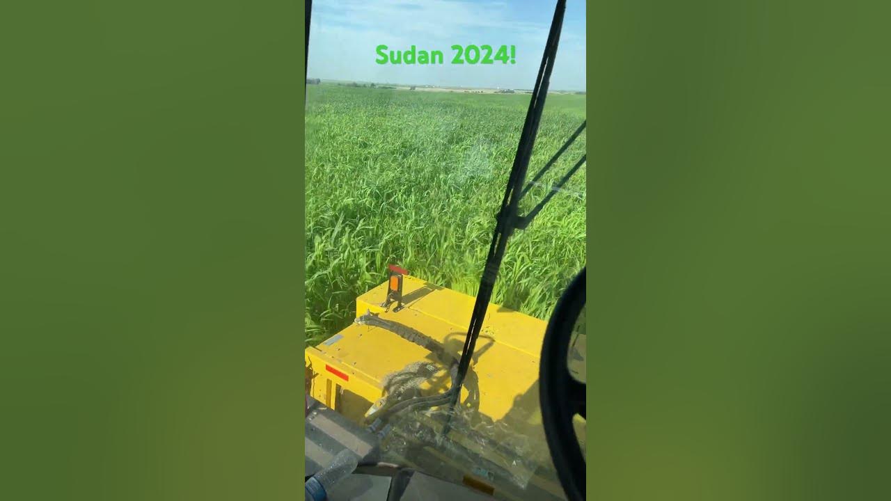 Sudan 2024 has started - YouTube