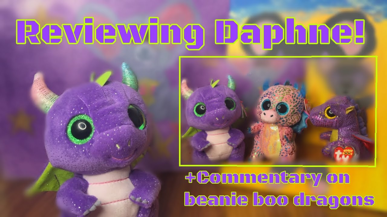 Beanie Boo Review of Daphne the Dragon! +Commentary on Beanie Boo ...
