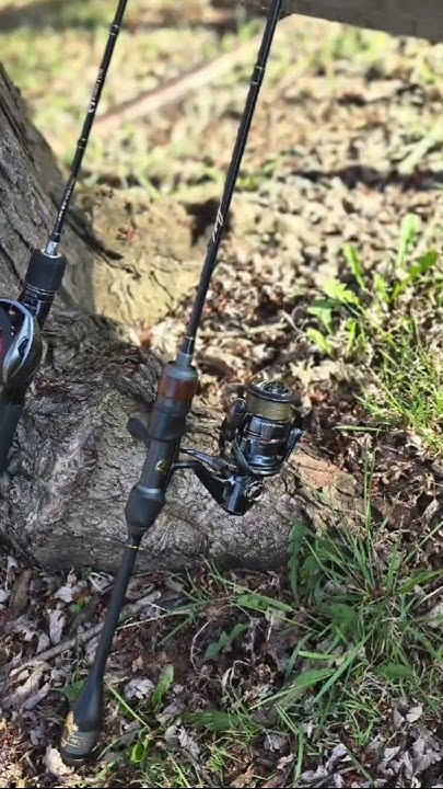 BFS Caster and Spinning Reel both are Beast. To enjoy fishing is to Go ...