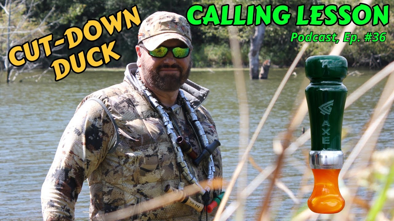 CALLING LESSON: DUCK CUT-DOWN WITH TECHNIQUES by GEORGE LYNCH # ...