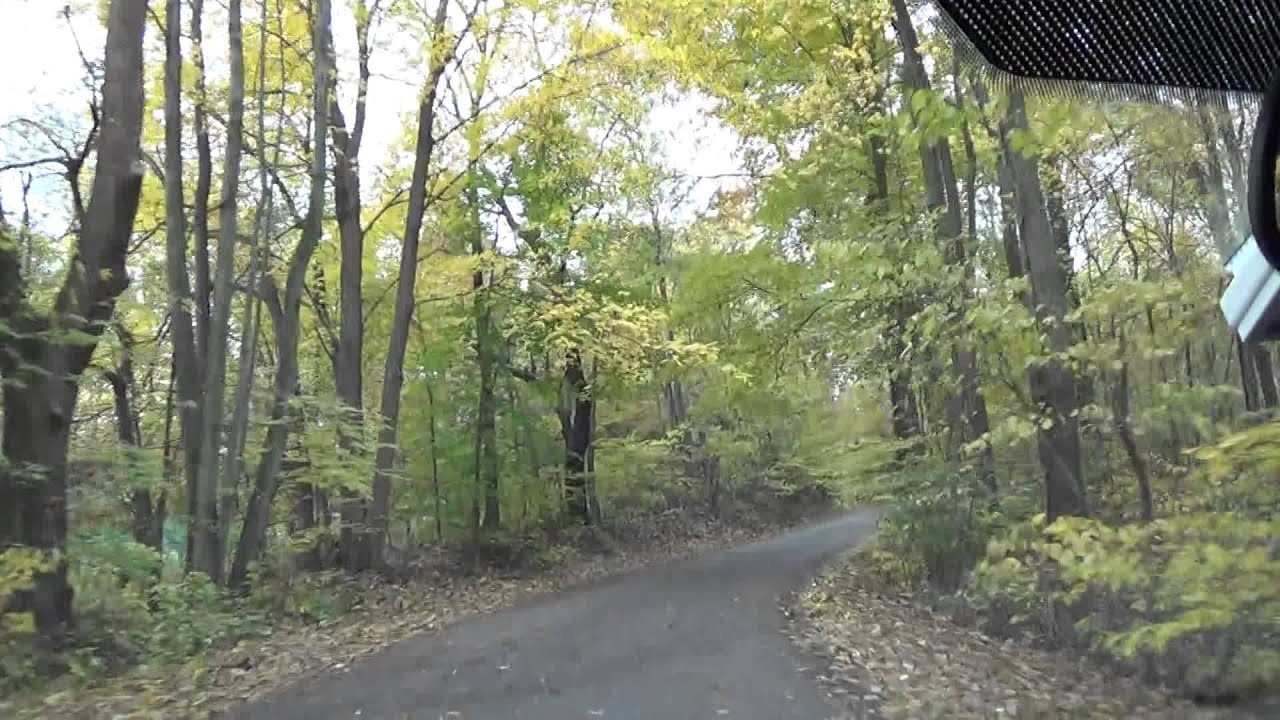 "Cow Path Road" in Fall - YouTube
