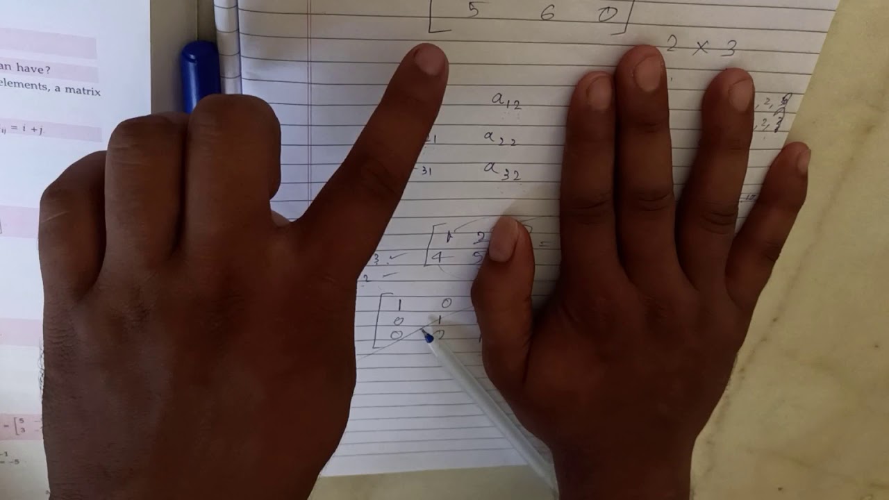 Matrices Class 10 M.L. Aggarwal - YouTube