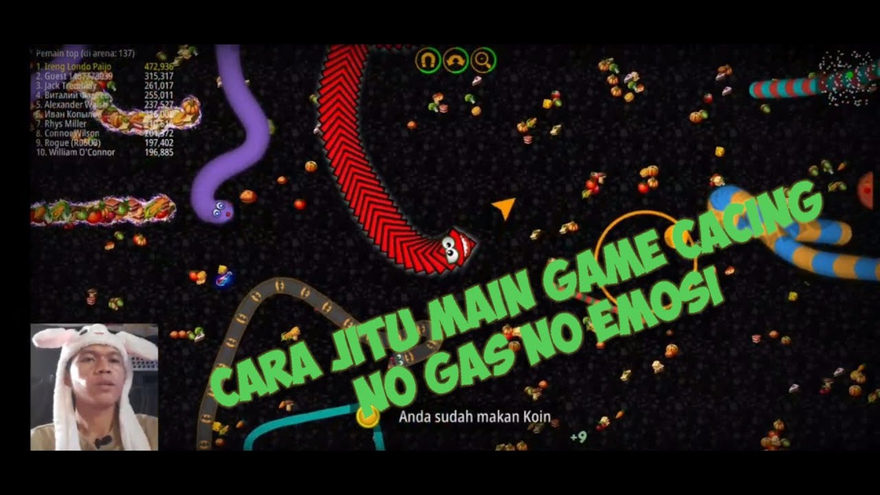 Cara jitu main cacing cepat besar bor(GAME CACING,WORMzone)game - YouTube