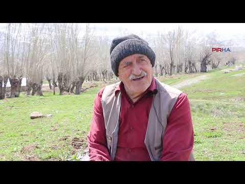 Pir Zeynel Batar, ziyaret yeri Gola Çetu’yu anlattı: Xızır'ın asıl mekanıdır