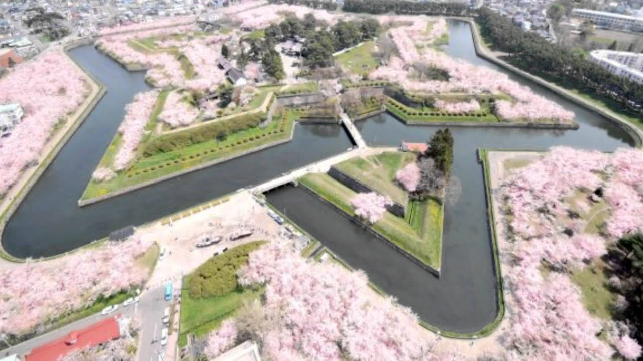 Japan Trip: Fort Goryokaku star shaped citadel, cherry blossom ...